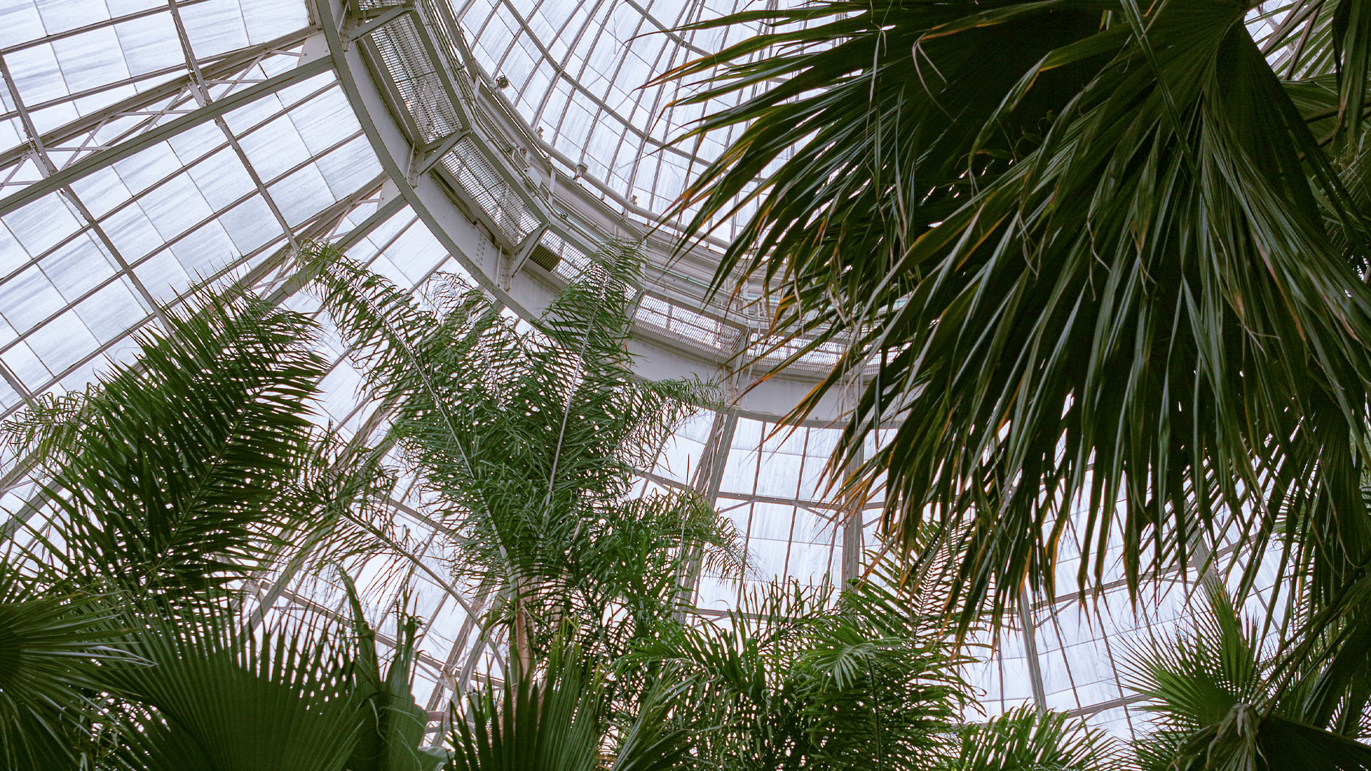 What is optimal humidity and how do you achieve it?